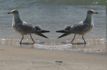 4.66.5. Picture Lab A7: Mirroring Part of a Picture — CSAwesome2beta